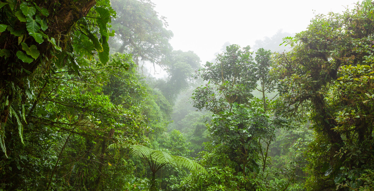 Costa Rica: an intrepid adventure | travellocal.com